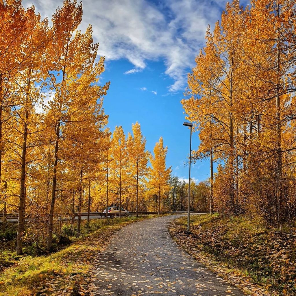 Autumn in Alta - Visit Alta - English