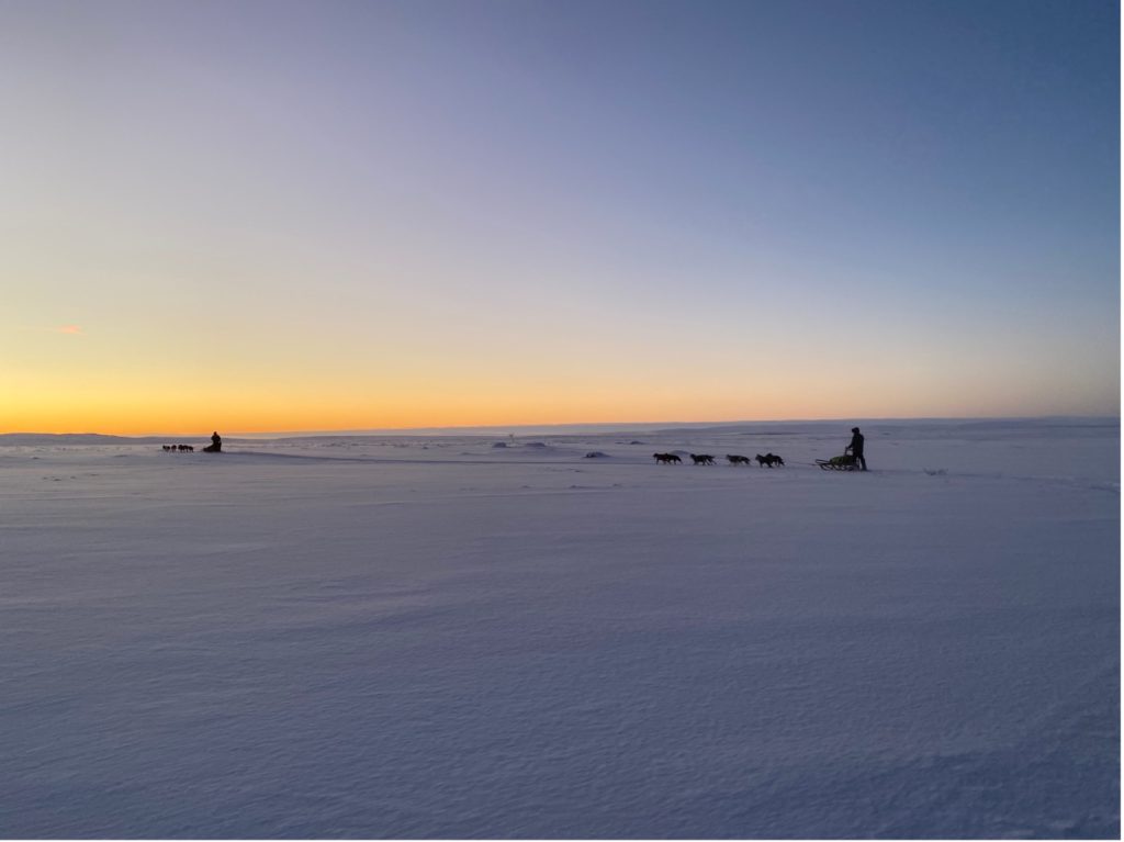 Winter in Alta - Visit Alta - English