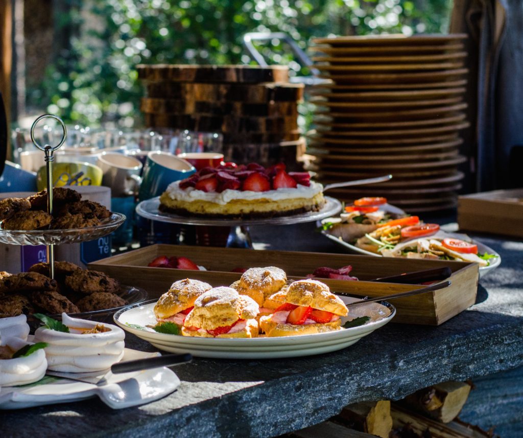 Visitor center Archives - Visit Alta - English